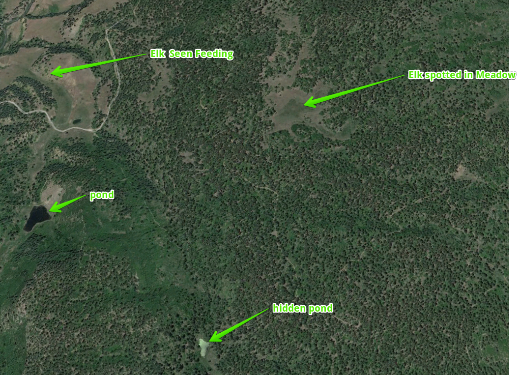 4 Tips for Finding Hidden Gems For DIY Hunting Adventures - DIY Outdoorsman