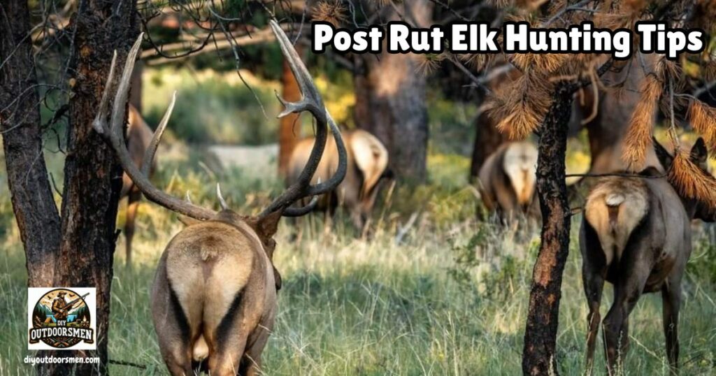 DIY Archery Target Ideas with 6-Step Guide - DIY Outdoorsman