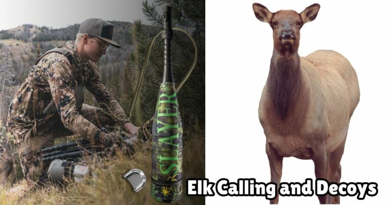 5 Essentials for a DIY Hunting Camp Setup - DIY Outdoorsman