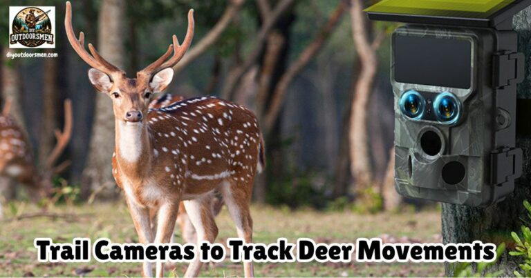 5 Essentials for a DIY Hunting Camp Setup - DIY Outdoorsman